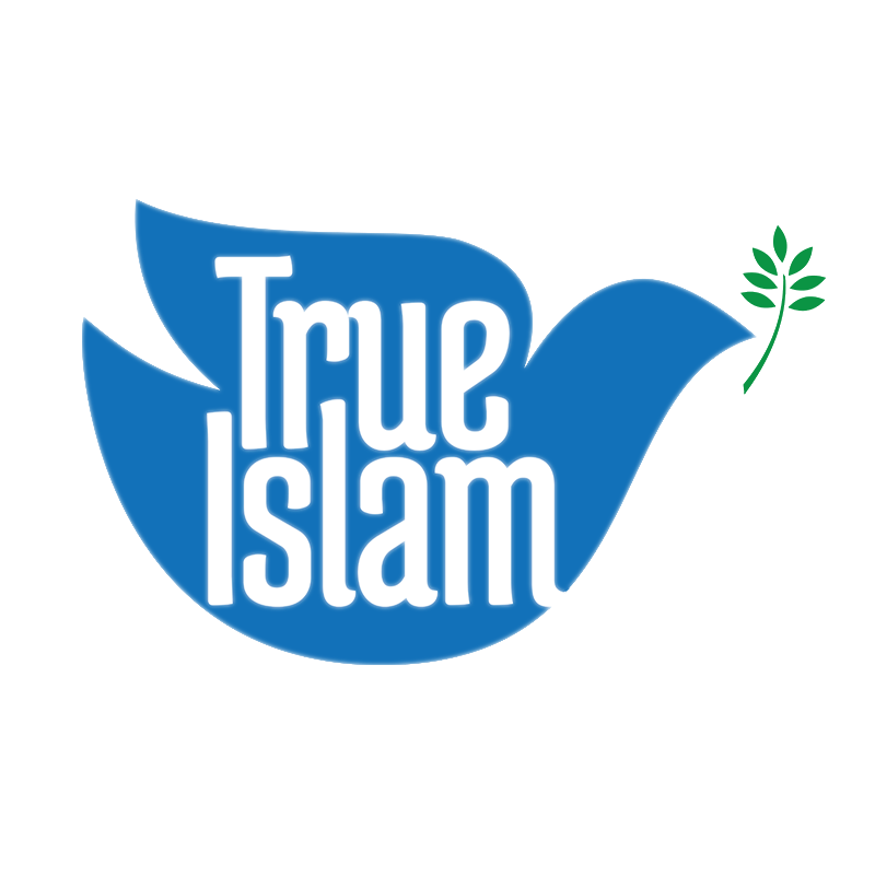 True Islam - True Islam